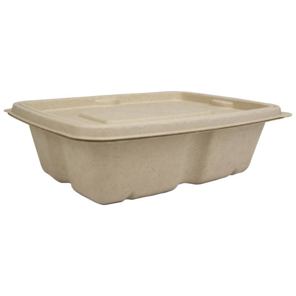 750ml Anti Leak Rectangular Pulp Container | Bagasse | Compostable Food ...